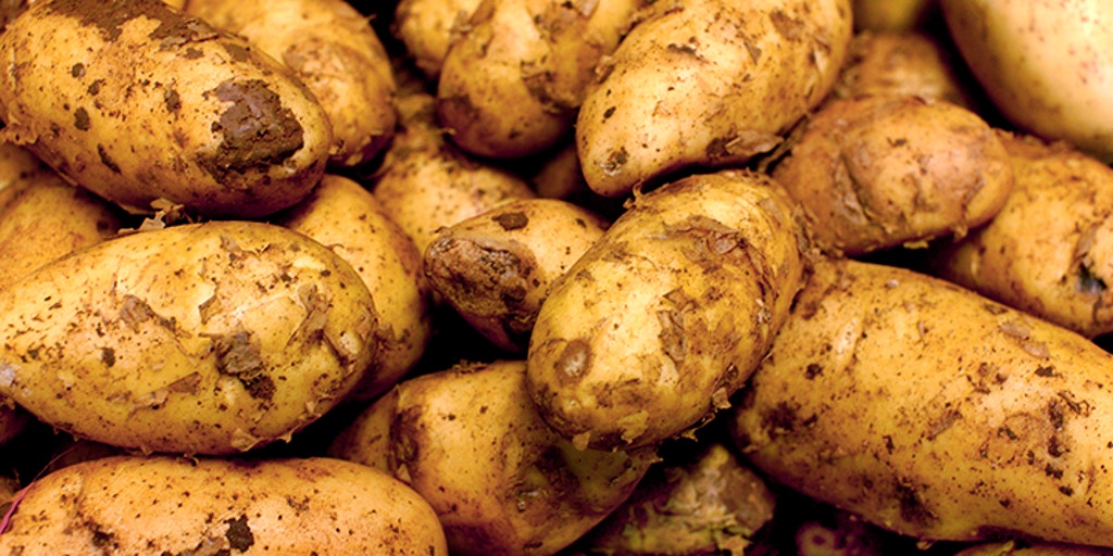 Snack hack: NFL stadium soil used to grow potatoes for popular ...