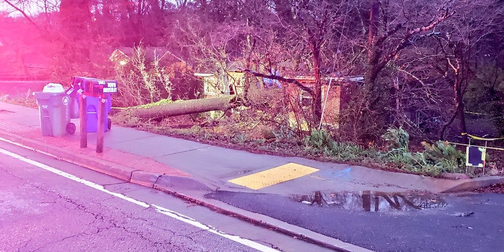 Boy, 5, dies after tree falls on Georgia home during wind advisory ...