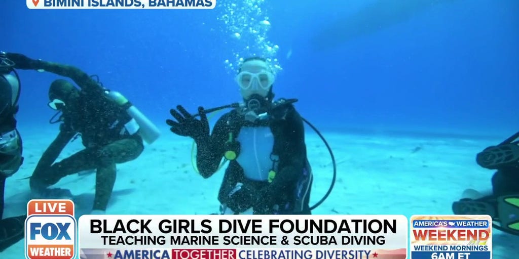 Black Girls Dive Foundation empowers young women to explore STEM ...