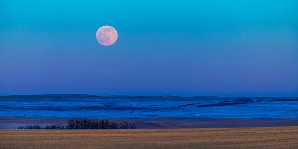 Last full moon of meteorological winter to light up the night | Fox Weather