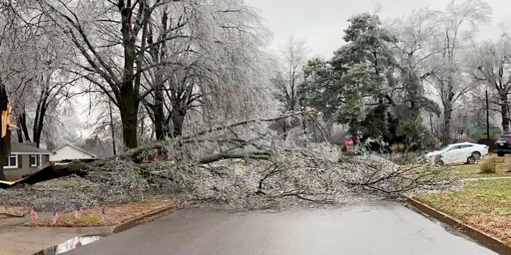 Winter storm damages trees, power lines across Central US | Fox Weather