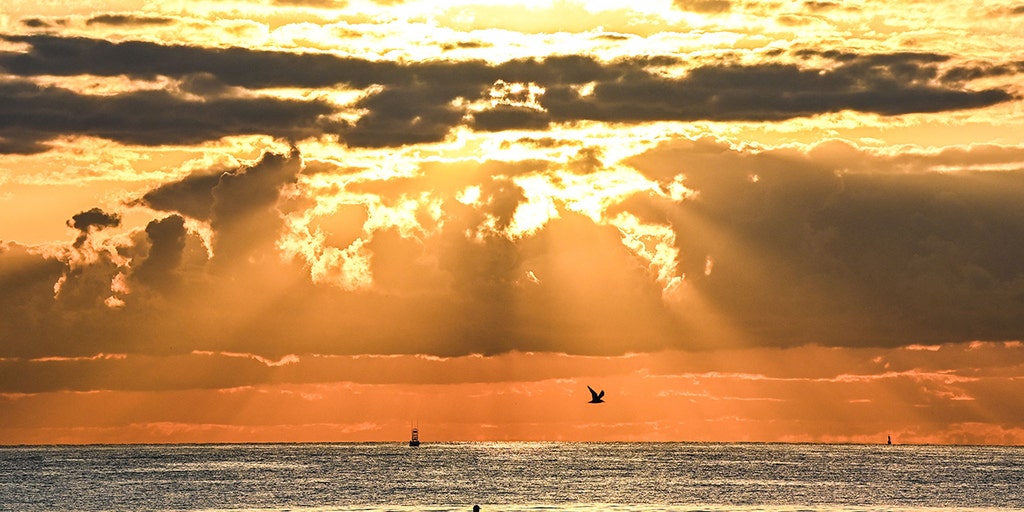 Sunrise and sunset information | Fox Weather