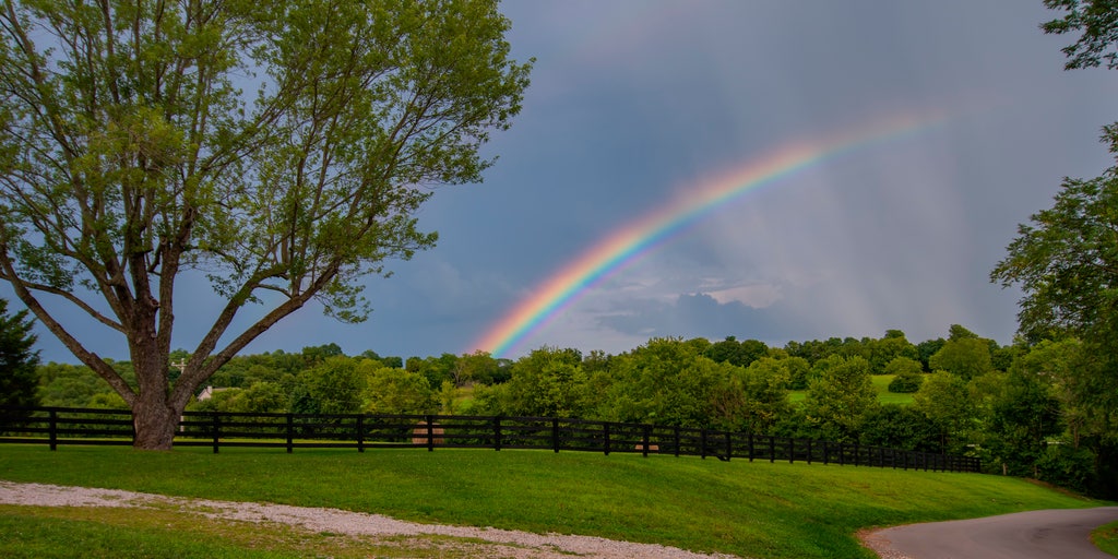 Here’s how to add some color in your life on National Find a Rainbow ...