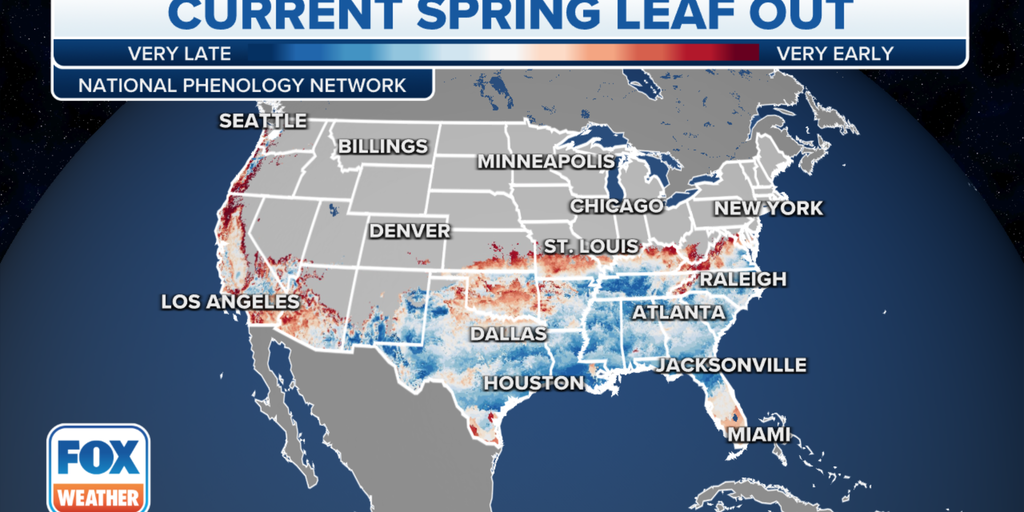 Spring leaf growth delayed across large parts of South | Fox Weather