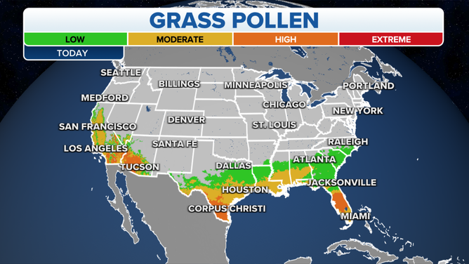 Allergy sufferers, you might be cleaning your house all wrong