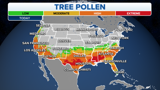 Allergy sufferers, you might be cleaning your house all wrong
