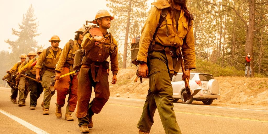 US Forest Service working on greening up responses to fires | Fox Weather