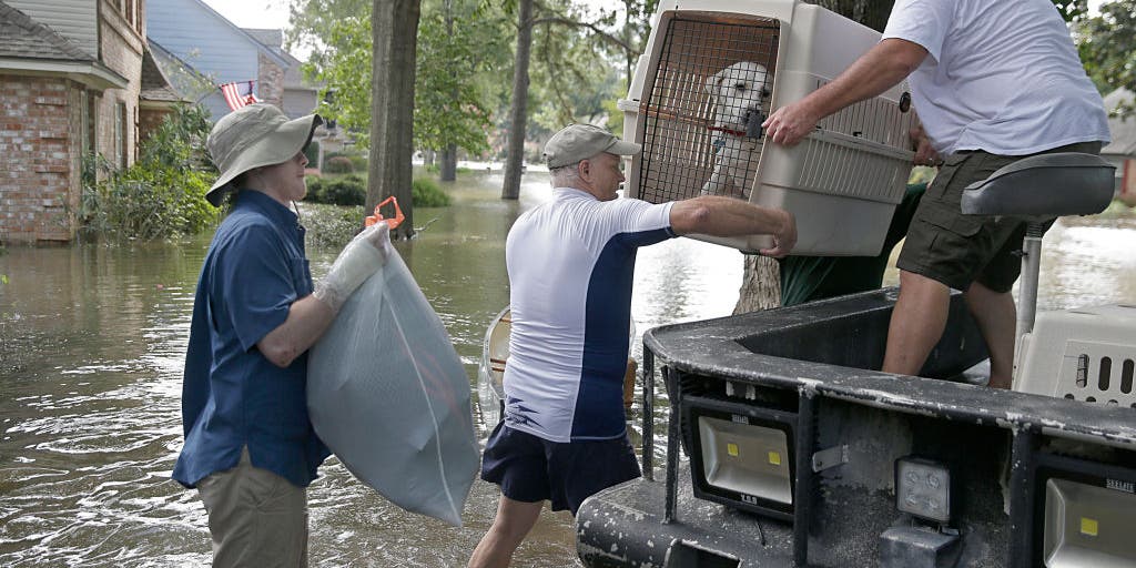 Saving pets saves lives: Why communities include pets in disaster ...