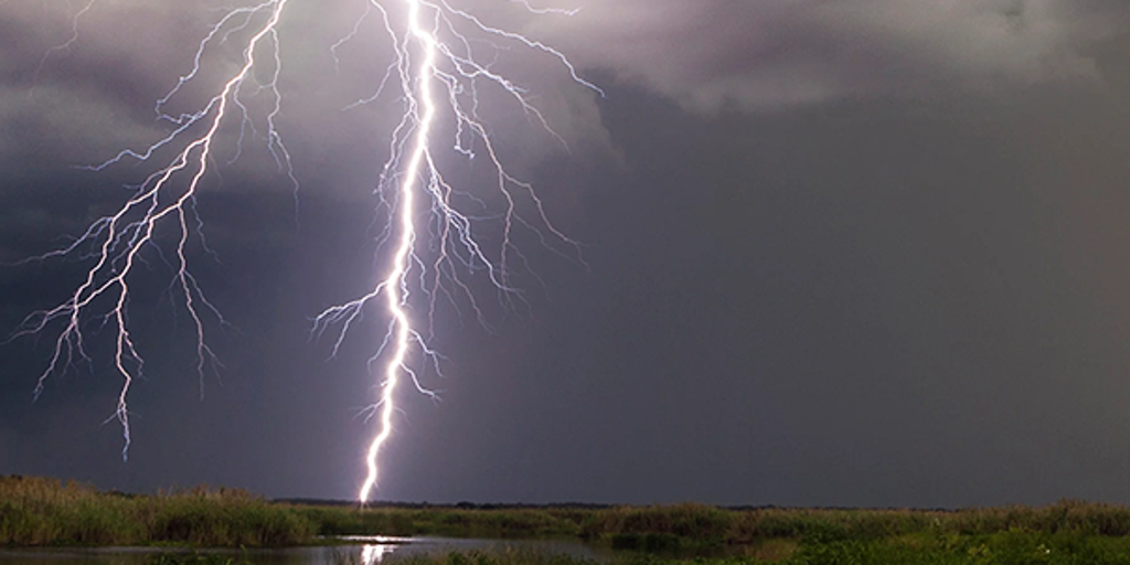 Lightning kills man, injures 2 sheltering from storm in New York | Fox ...