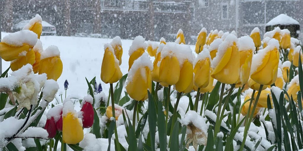 7 scenes of spring snow as storm tracks across northern US | Fox Weather