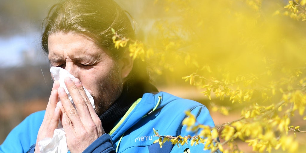 Why seasonal allergies are becoming worse | Fox Weather