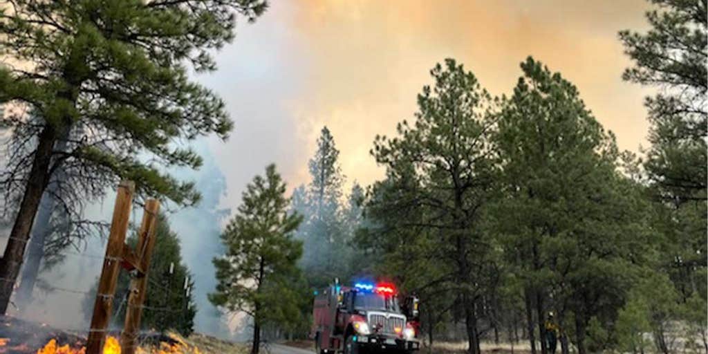 New Mexico wildfires consume area the size of Dallas after 2nd driest ...