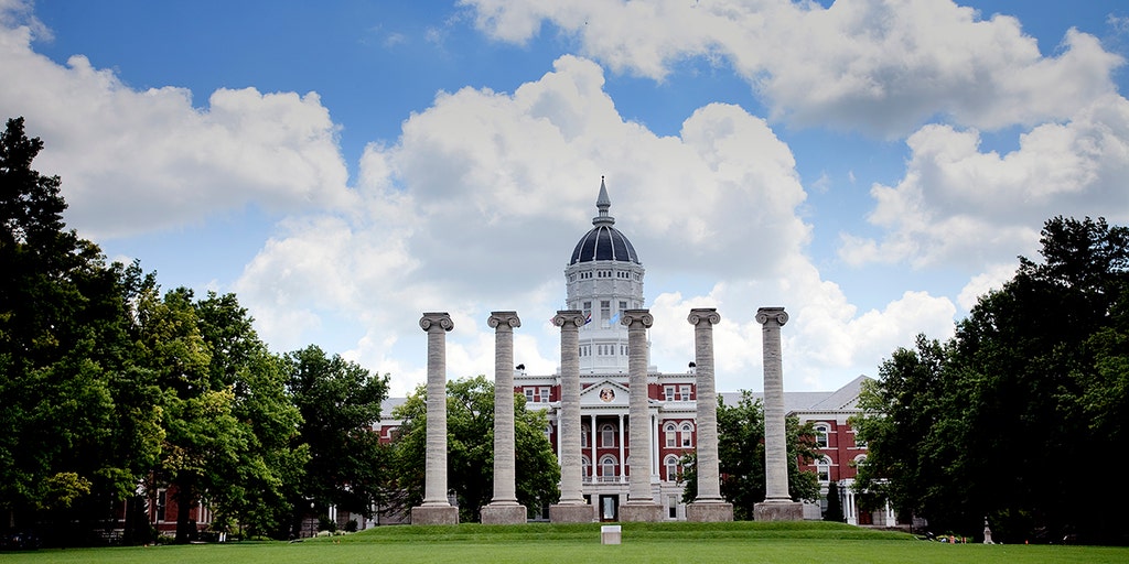 Trees lining historic Mizzou quad being uprooted in name of safety ...