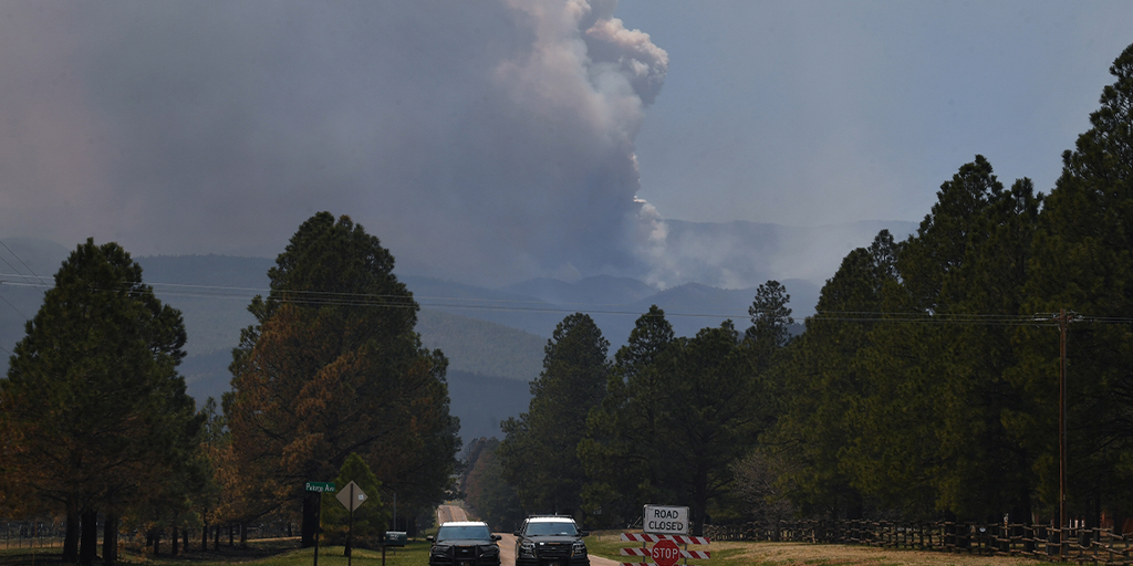Firefighters gain some control of New Mexico's Hermits Peak, Calf ...