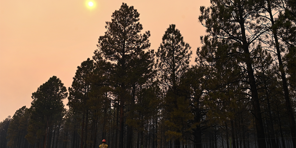 Wildfires in New Mexico continue to burn after consuming over 400,000 ...