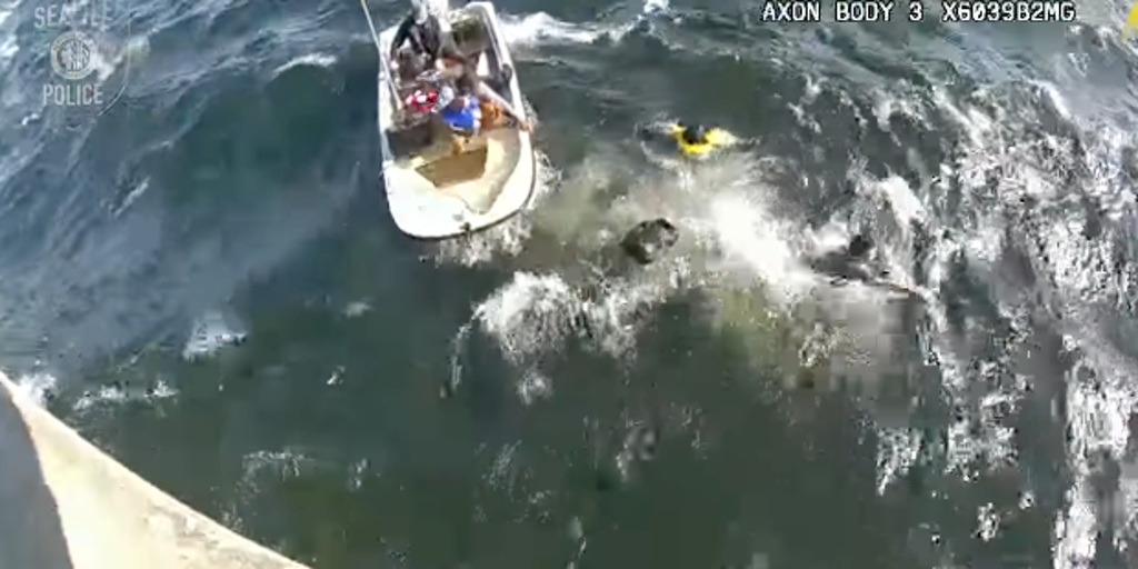 Toddler among several rescued from sinking boats during Seattle ...