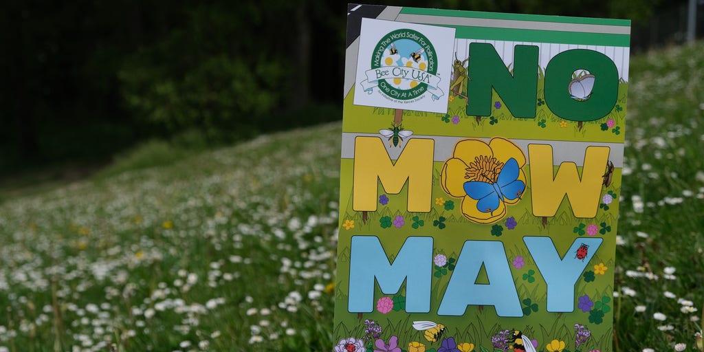 What is 'No Mow May'? It's a way to save the bees | Fox Weather