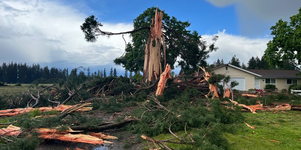 Lightning strike disintegrates massive tree in Oregon | Fox Weather