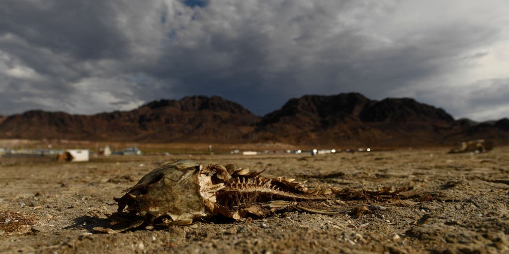 El Nino doesn’t treat America’s western mountains the same, study finds ...