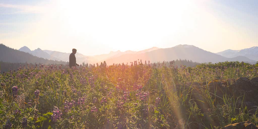 How Midsommar celebrates the sun and keeps Swedish traditions alive ...