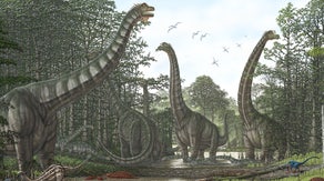 Archaeology | FOX Weather