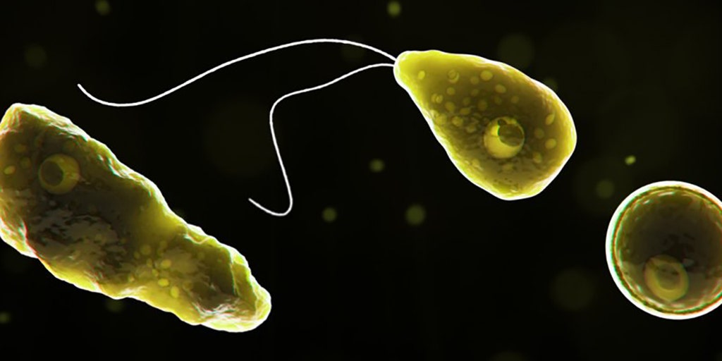 Deadly brain-eating amoeba found in Iowa beach as temperatures rise ...
