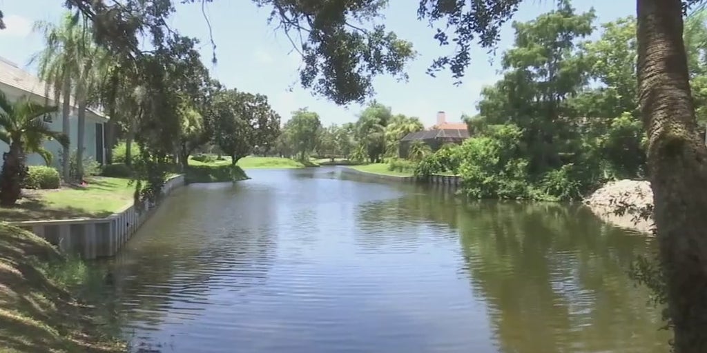 ‘She was screaming’: 911 call reveals golfer’s desperation to save ...