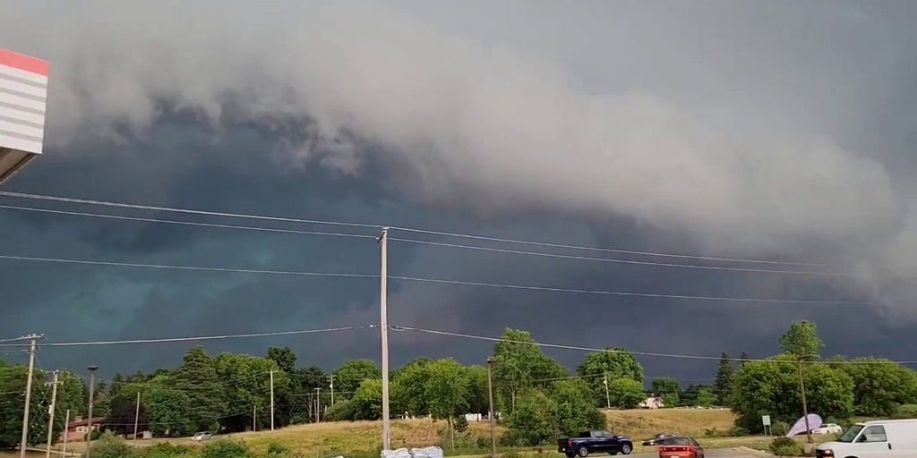 Teen dies after tree falls on car during severe weather in Michigan ...