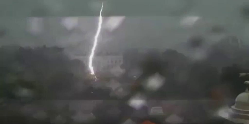 Why hiding under trees is the worst place to be in a thunderstorm | Fox ...