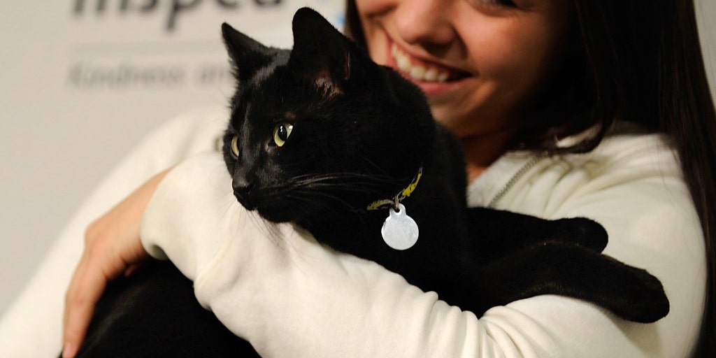 Case of human plague confirmed in Oregon, possibly infected by pet cat ...