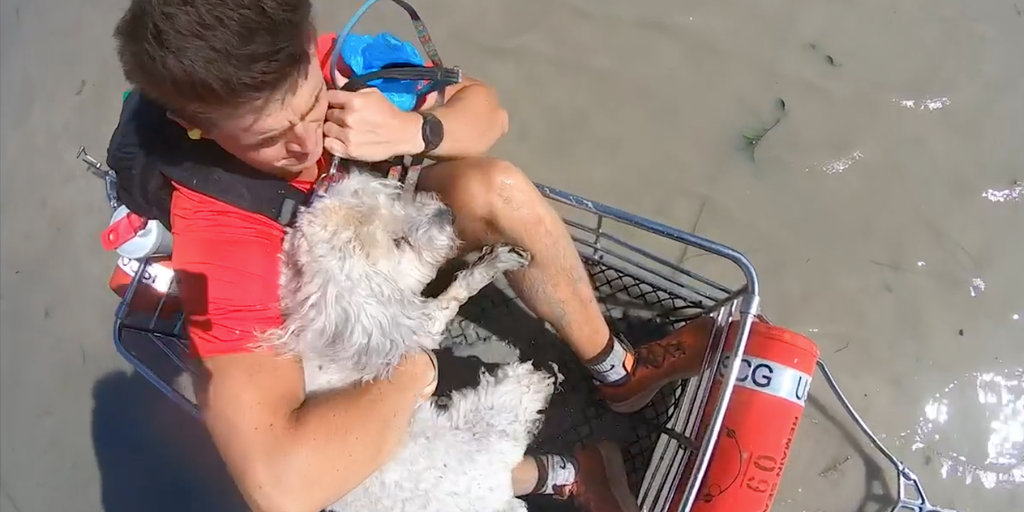 Watch: Coast Guard rescues dog, Ian victims from floodwater | Fox Weather