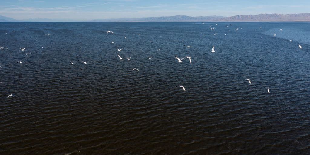 Earthquakes along Pacific not a precursor to a large event in ...