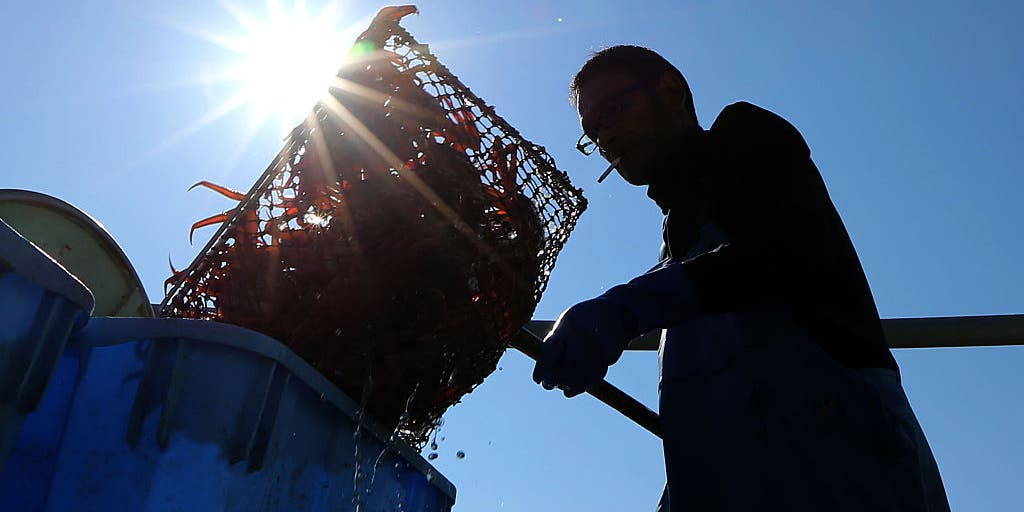 Alaska’s snow crab season unexpectedly canceled due to dwindling population | Fox Weather
