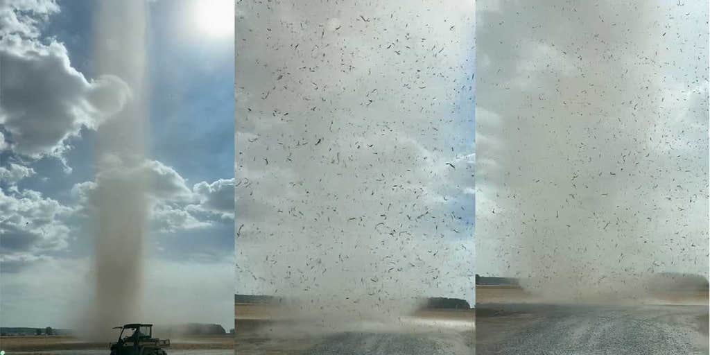 Hold on to your hats: Giant dust devil sweeps across Arkansas farm ...