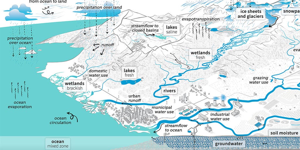 Humans added to water cycle diagram for first time | Fox Weather