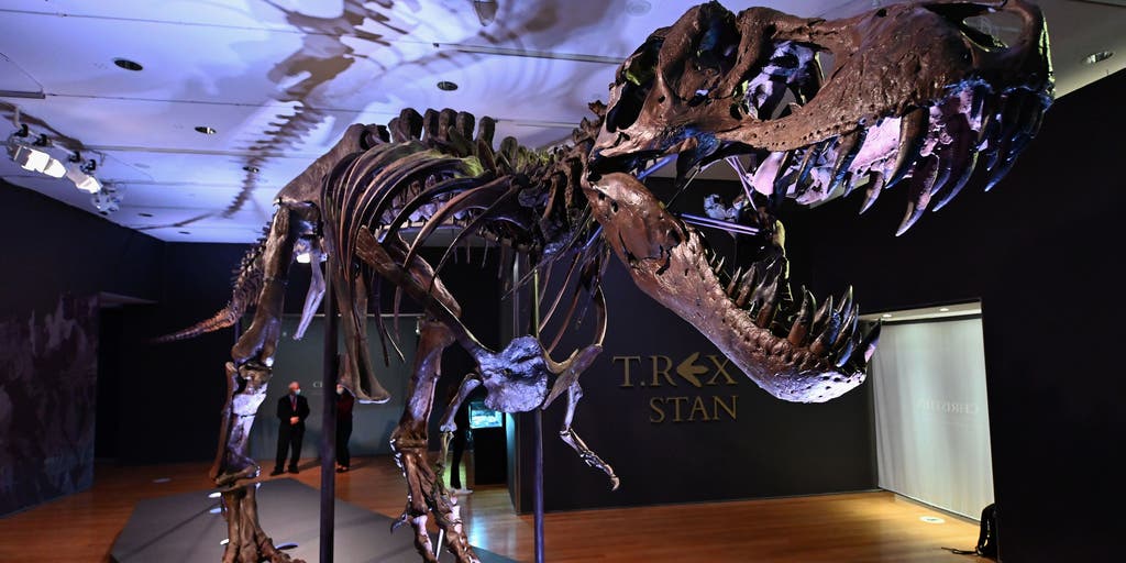 'RAWR!': Tyrannosaurus rex footprint discovered in remote Alaska ...