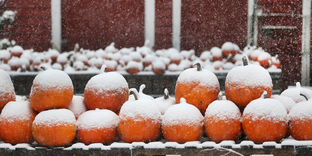 ‘Frightful’ early-season autumn chill leads to spike in Christmas song ...