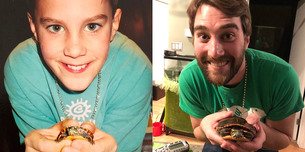 Love for 'Colors': Man's pet turtle of 24 years sparkles as flower girl ...