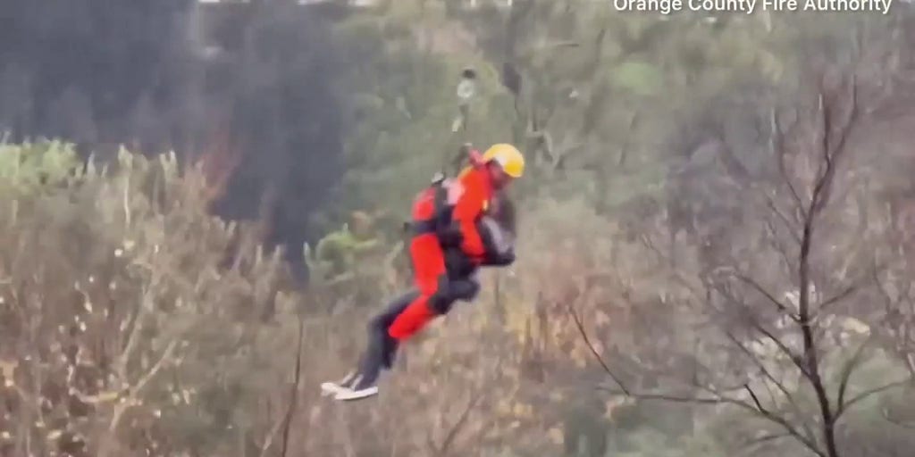Risky Rescue California Firefighters Pluck Woman From Tree She Climbed