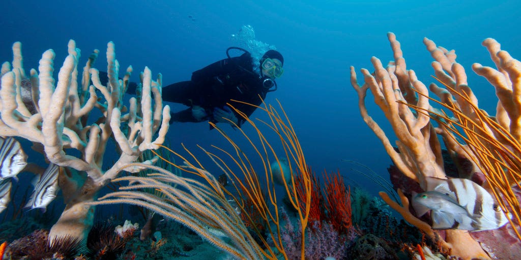 Here's why scientists are worried about newly discovered underwater ...