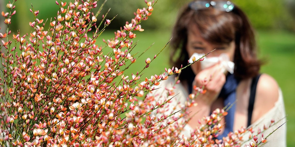 Worst and best cities to live with allergies | Fox Weather