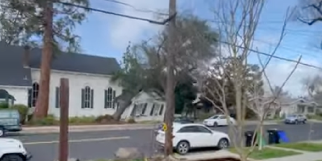 Watch: Large tree crushes church during strong winds in California ...