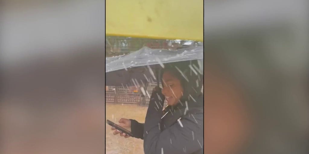 Watch: Magical 'snow' delights Disneyland guests amid winter storm | Fox Weather