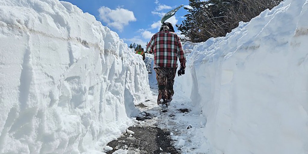 Volunteer shovel brigade clears snowy path to help migrating ...