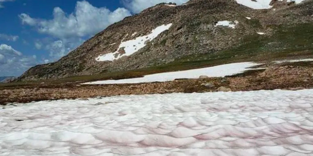 Here's why there could be pink snow at Yellowstone this summer | Fox ...