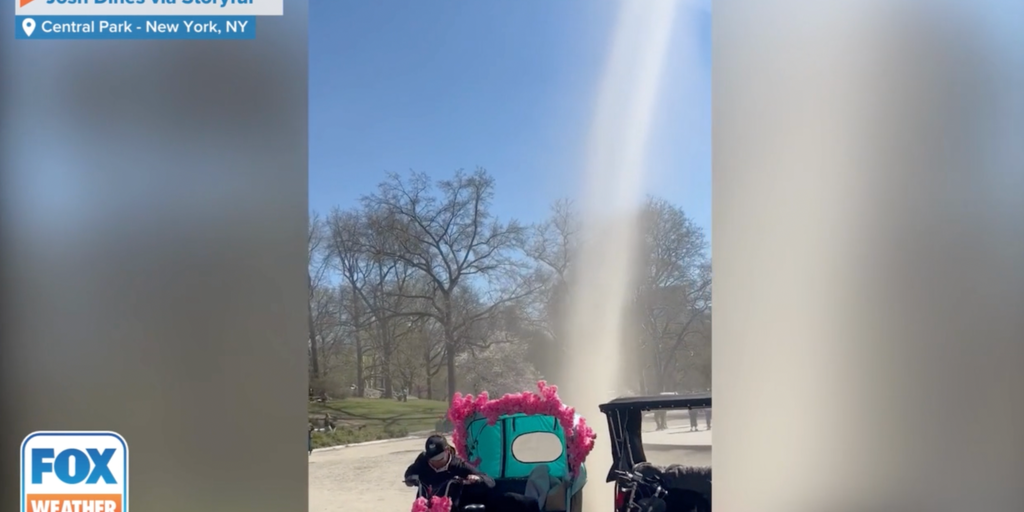 Watch: Dust devil in New York City races towards carriages in Central ...