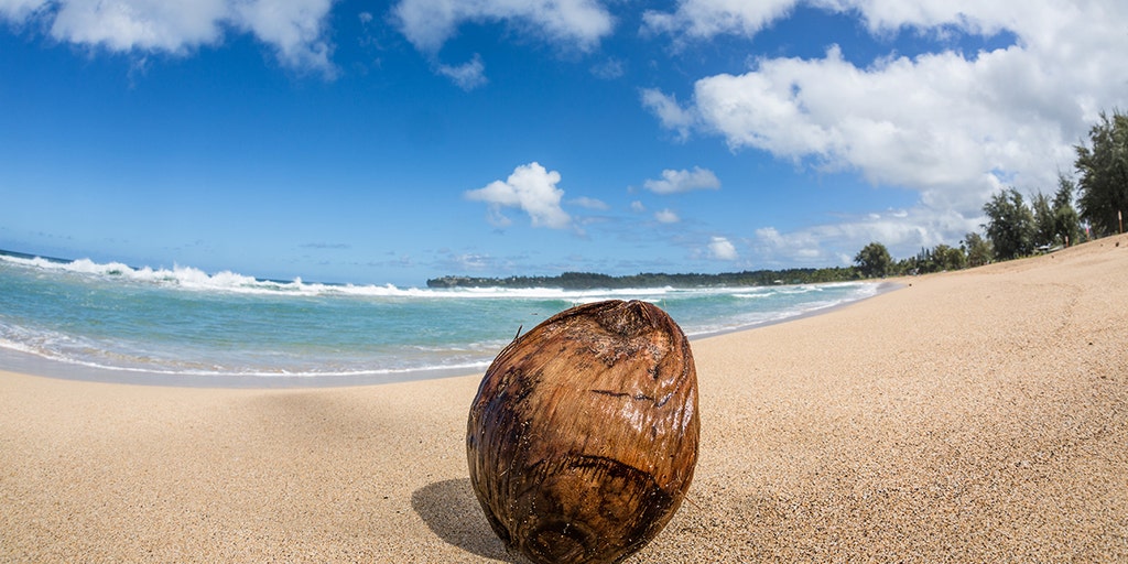 Top 5 most colorful beaches in America | Fox Weather