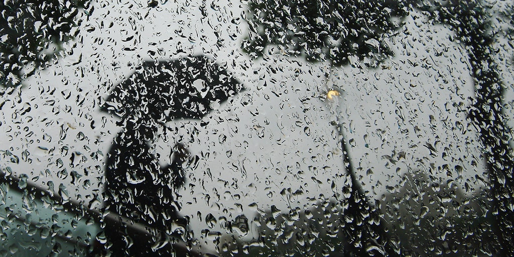 The Daily Weather Update from FOX Weather: Rainy week ahead for ...