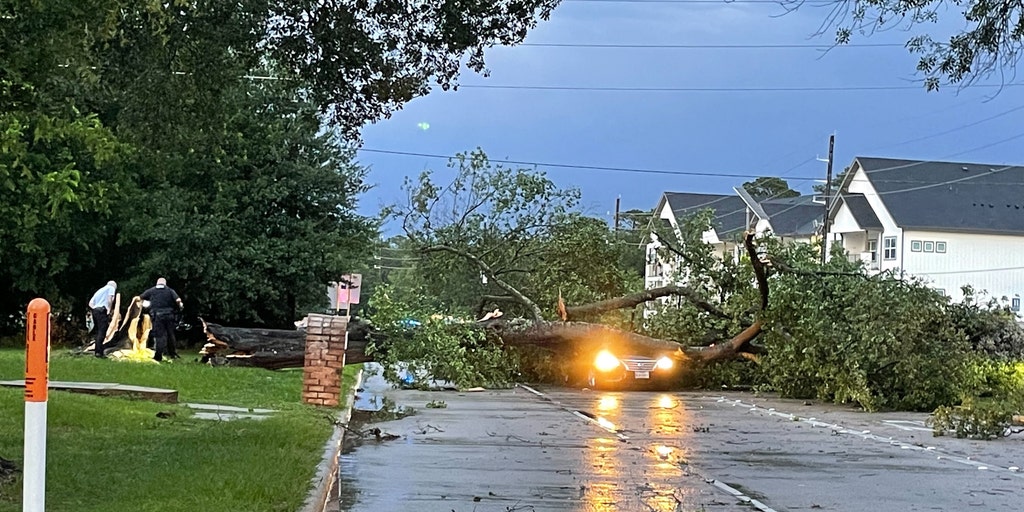 1 killed in southeastern Texas after tree falls on vehicle during storm ...