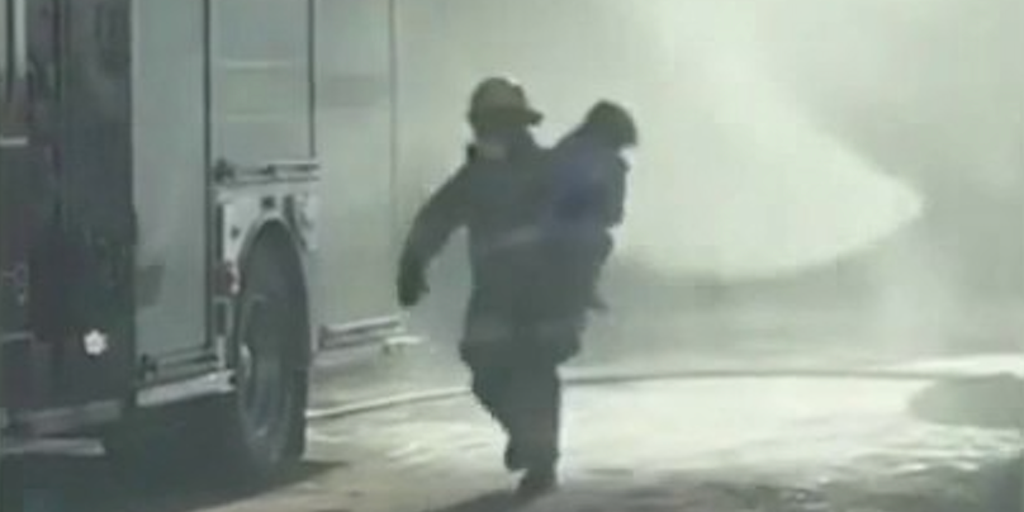 Caught on camera: Firefighters save mom, kids from swarm attack of bees ...
